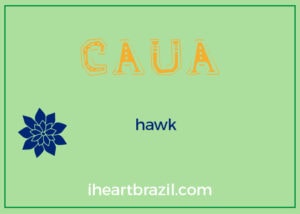 100+ Brazilian Boy Names With Meanings • I Heart Brazil