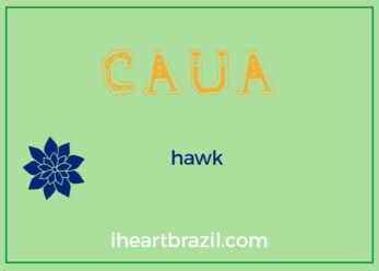100+ Brazilian Boy Names With Meanings • I Heart Brazil