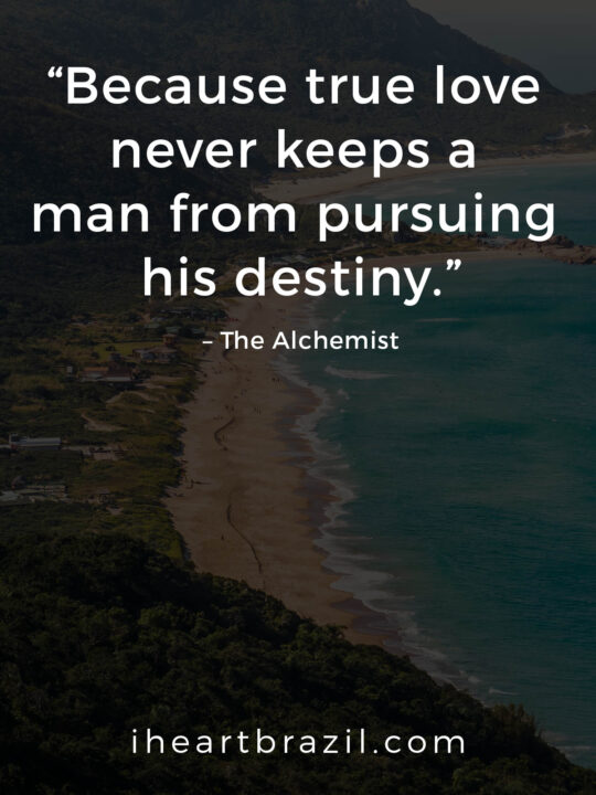 50 The Alchemist Quotes To Inspire You To Follow Your Heart • I Heart ...