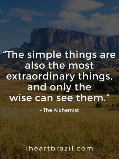 50 The Alchemist Quotes To Inspire You To Follow Your Heart • I Heart ...