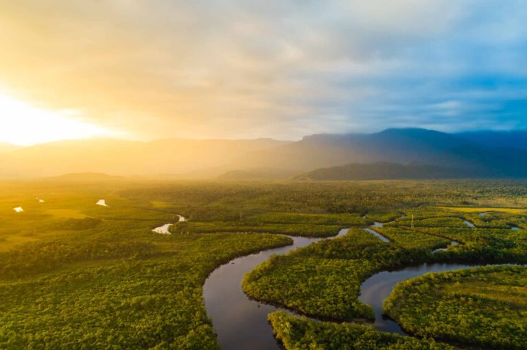 47 Amazon River Facts That Will Blow Your Mind • I Heart Brazil