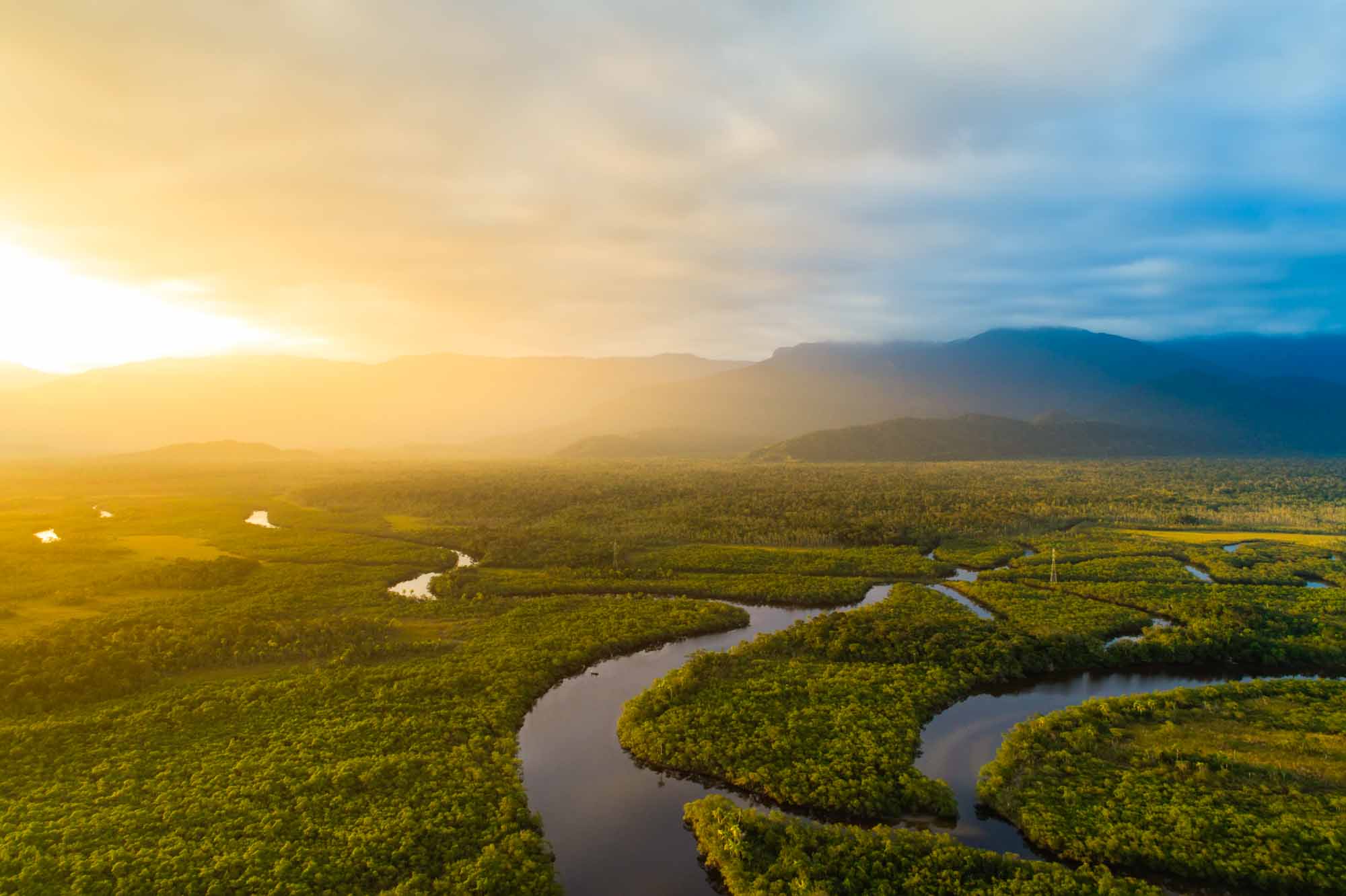 47 Amazon River Facts That Will Blow Your Mind • I Heart Brazil