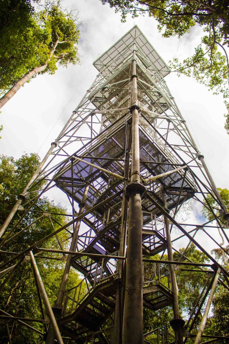 19 Fun Things to Do in Manaus, Brazil • I Heart Brazil